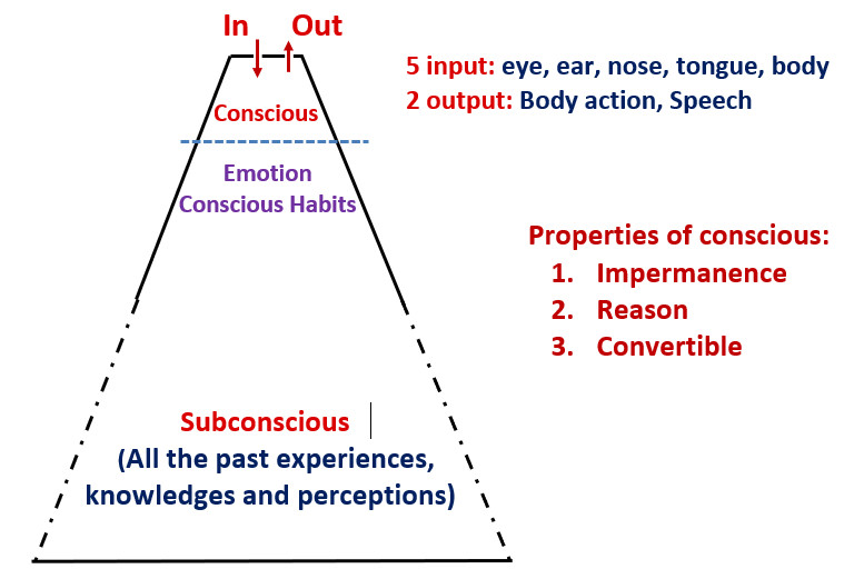 Stress and Emotion Management 3 - How Does Emotion Develop?