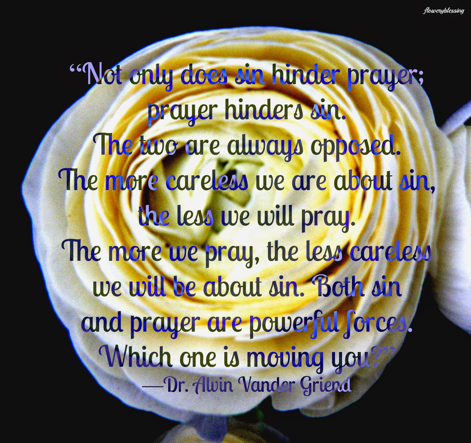 Flowery Blessing: “Not only does sin hinder prayer; prayer hinders sin ...