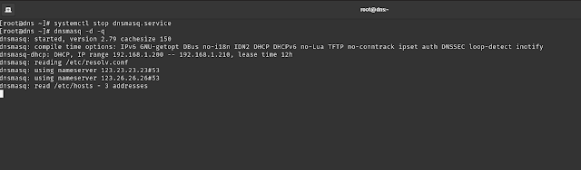 Sử dụng Domain Information Groper (dig) và cách debug cơ bản dnsmasq