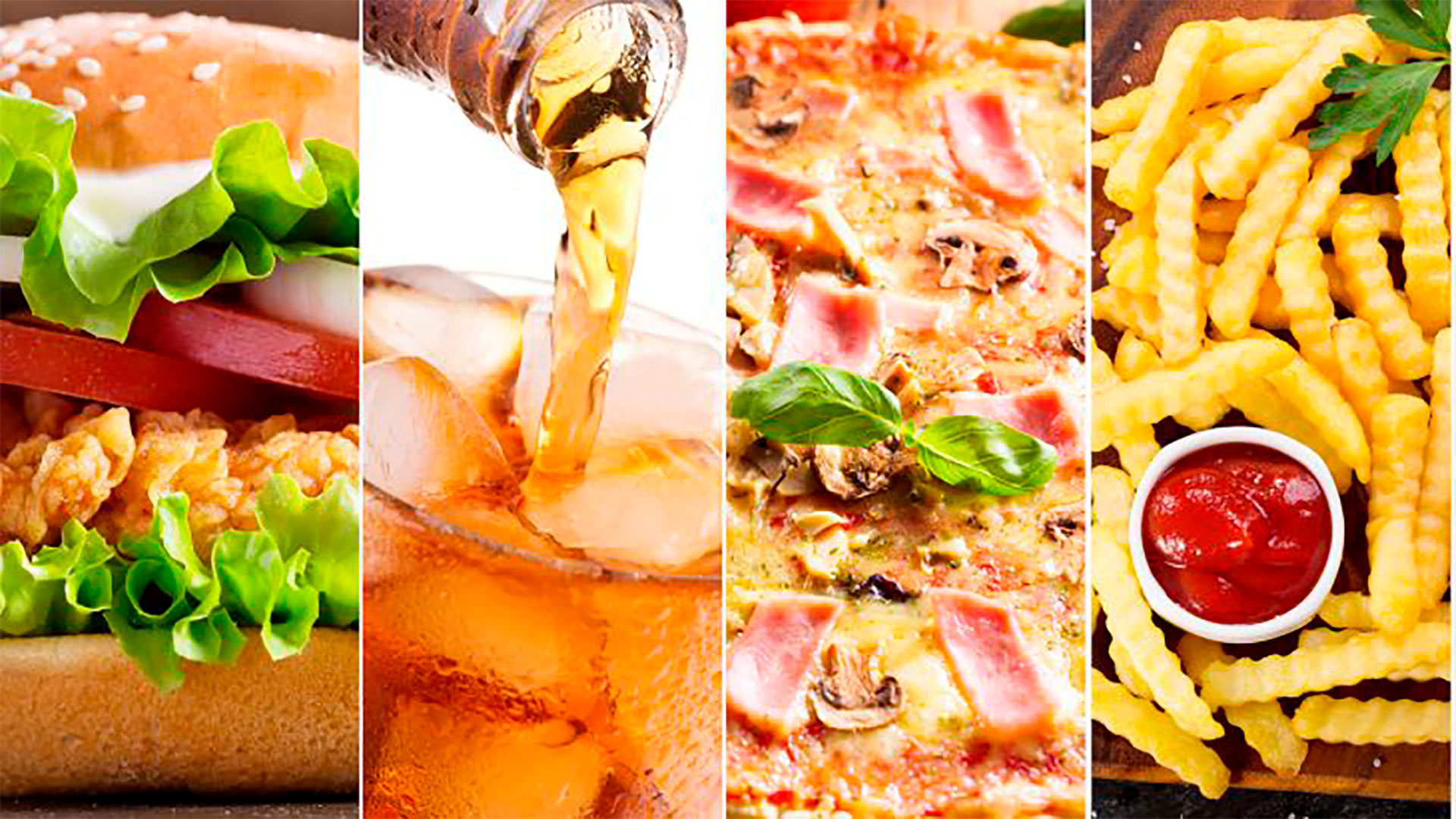 ¿Qué es la comida rápida?