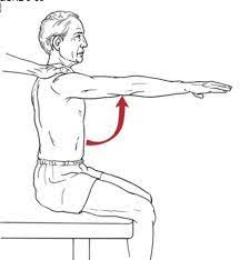 MMT (Manual Muscle Testing) Of Shoulder Flexion , Grades