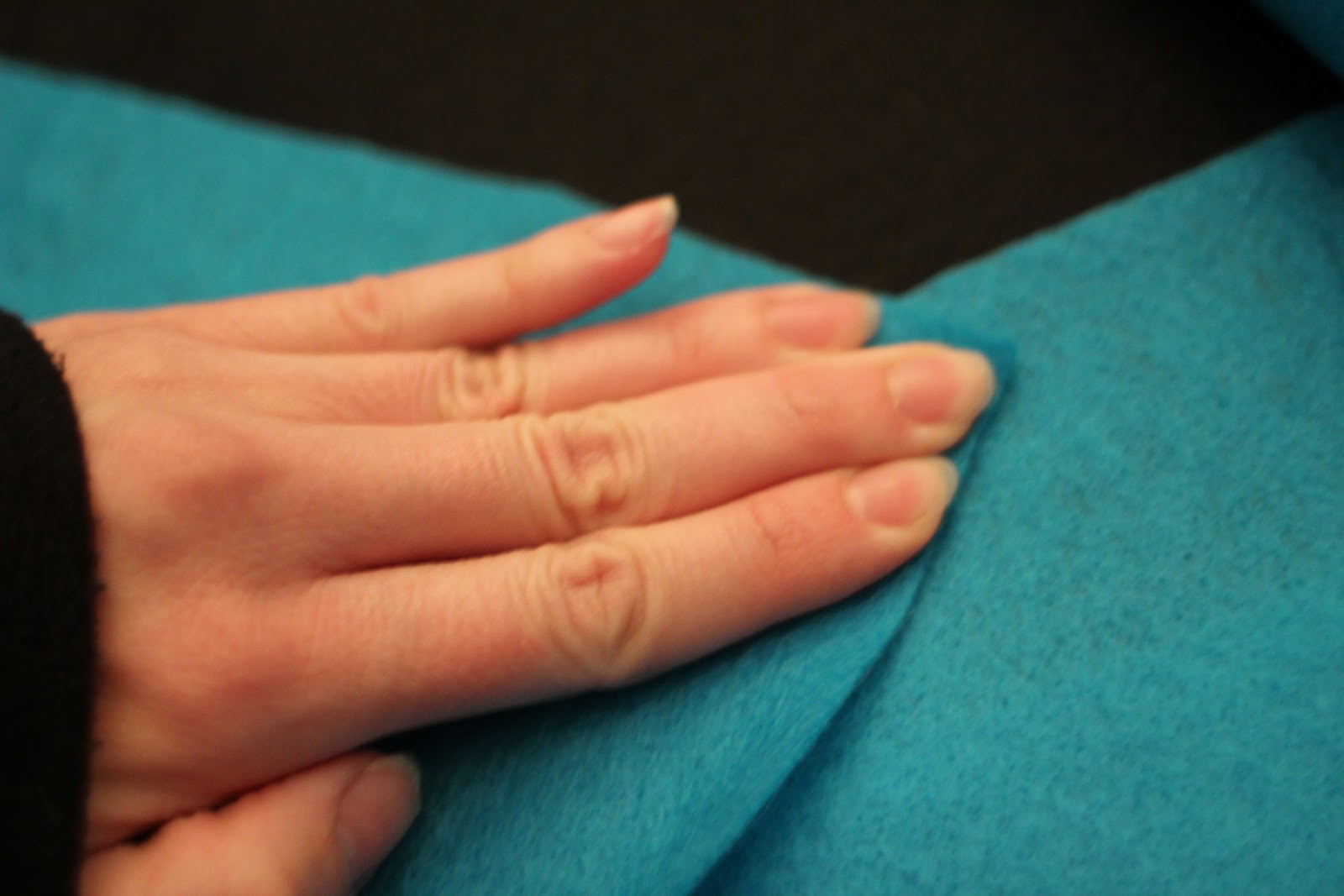 26 east: The Making of A Blue Jay