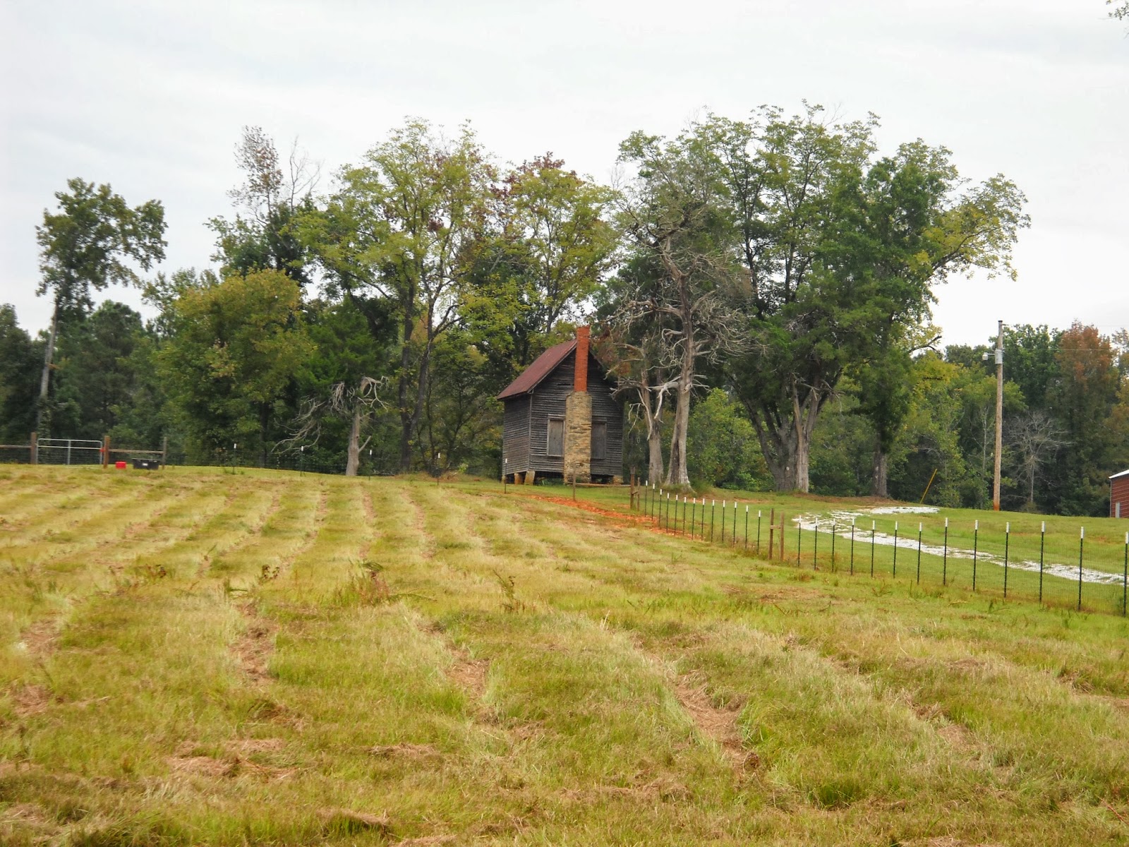 Gold Hill Plant Farm: Donkey House