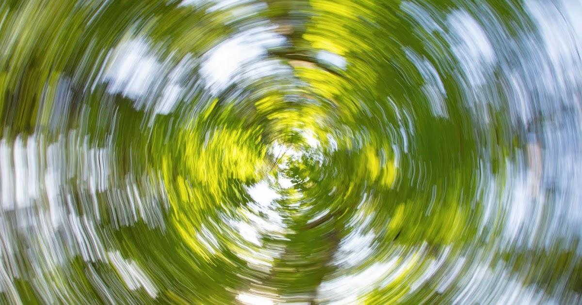 Shoreline Area News: Photo: Spinning trees