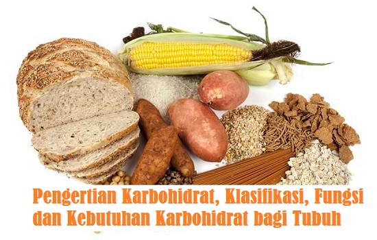 Pengertian Karbohidrat Klasifikasi Fungsi Dan Kebutuhan Karbohidrat ... Pengertian Karbohidrat Klasifikasi Fungsi Dan Kebutuhan Karbohidrat ...