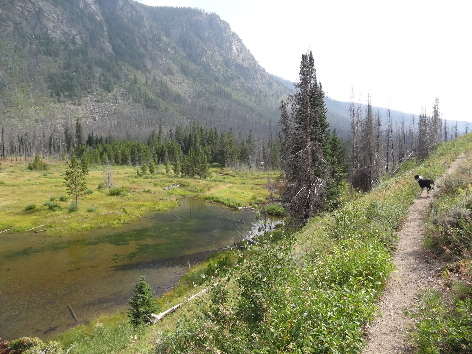 Dream Packer Wyoming Trails: New Fork Lake