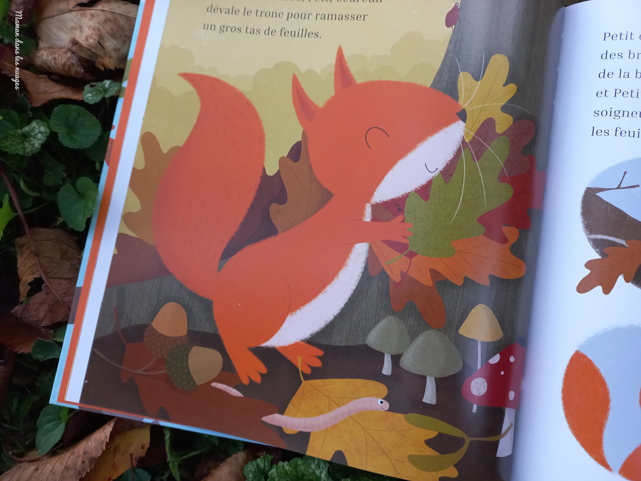 Maman dans les nuages: L'automne de Petit Ecureuil