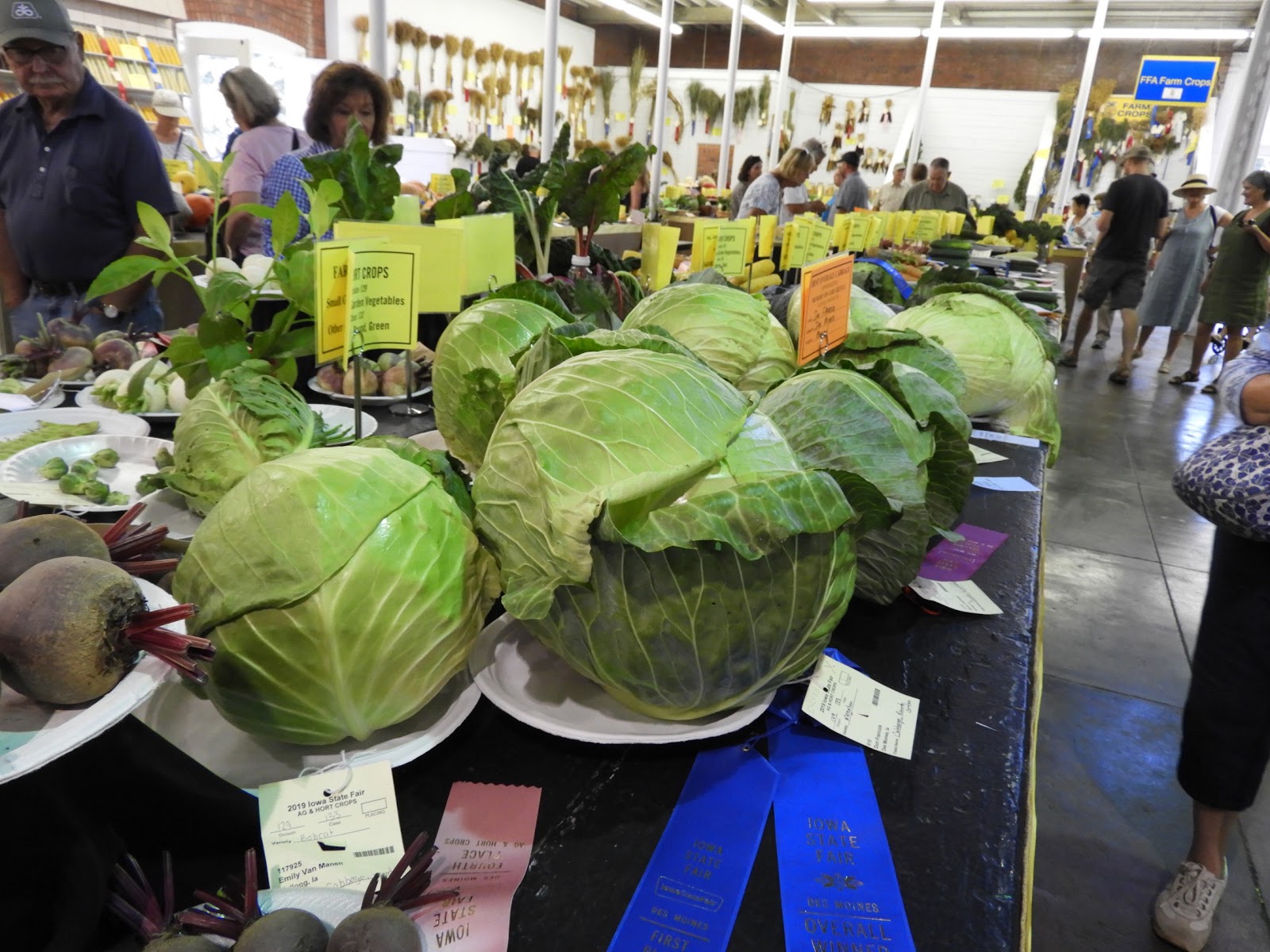 Larry's Creative Zone: Iowa State Fair.......