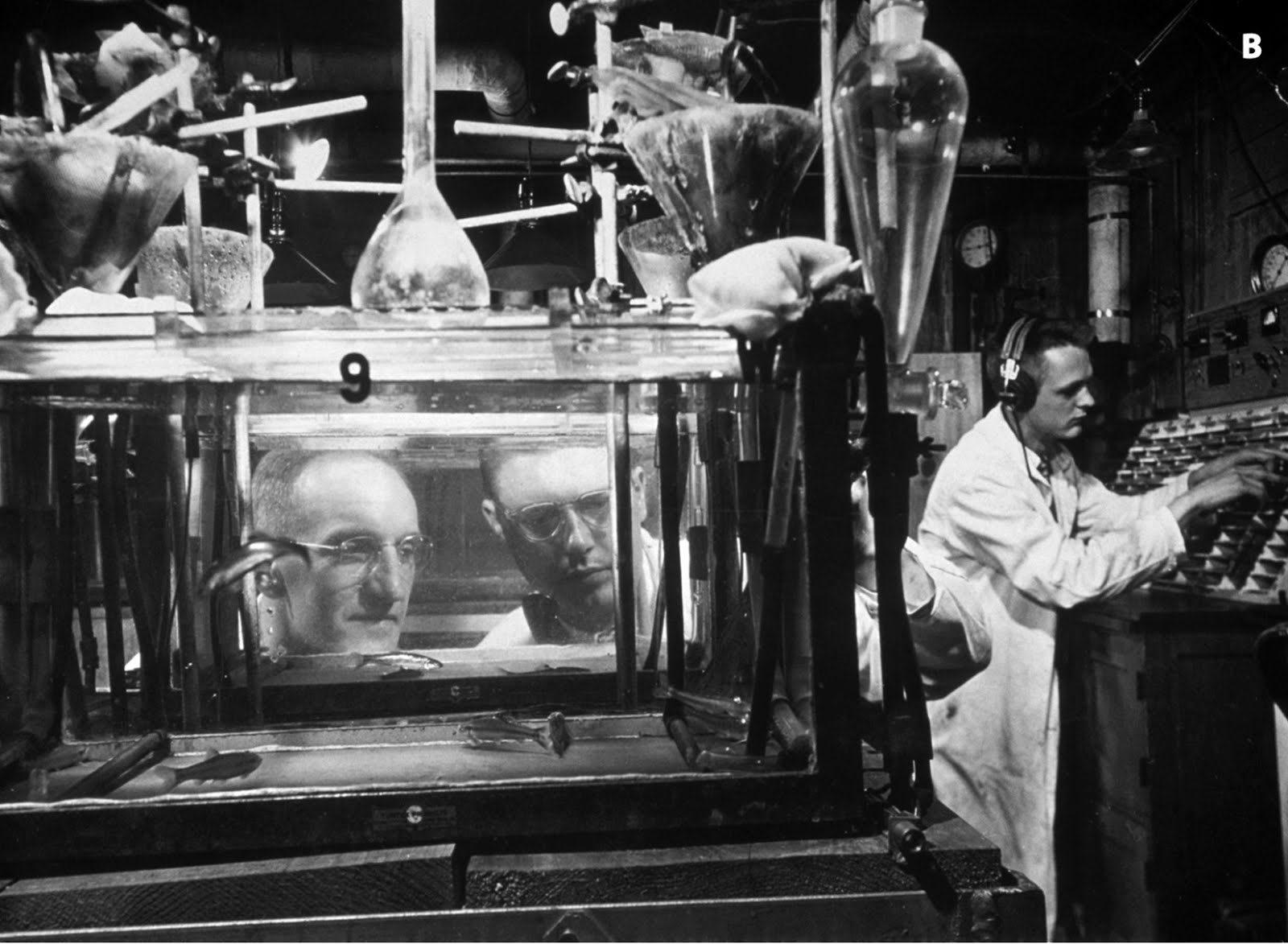 Hasler History: Arthur D Hasler Professional PhotoBio