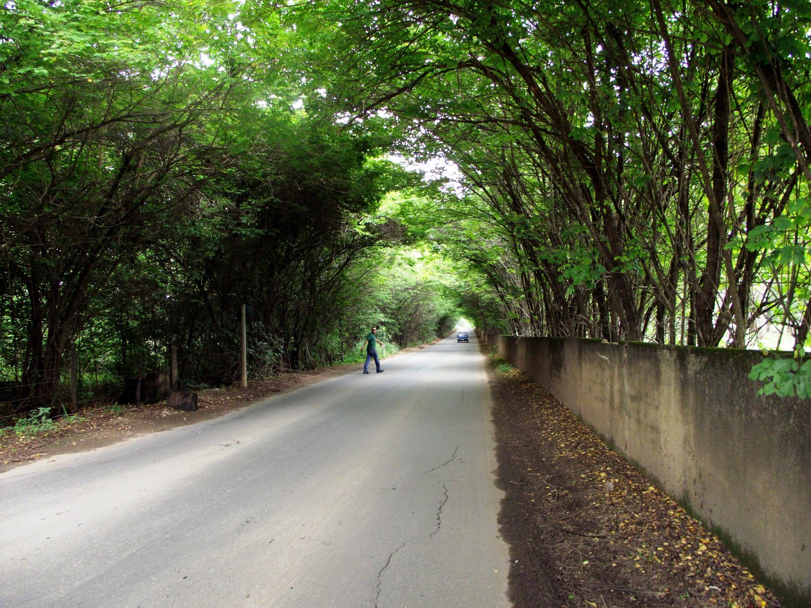 VIAGEM, TURISMO E AVENTURAS POR LUGARES INCRÍVEIS : INHAÚMA / MINAS ...