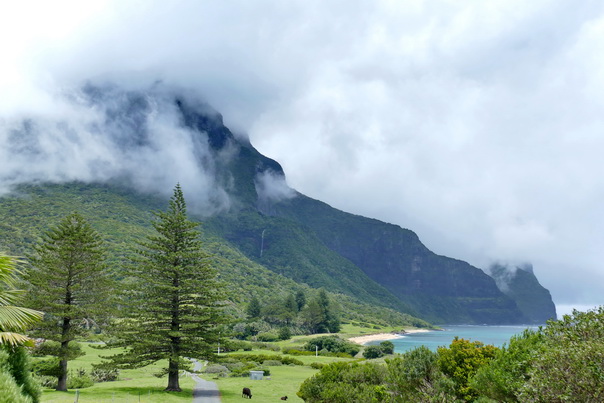 Geheimtippreisen: Lord Howe Island - Alle Informationen, Tipps und ...