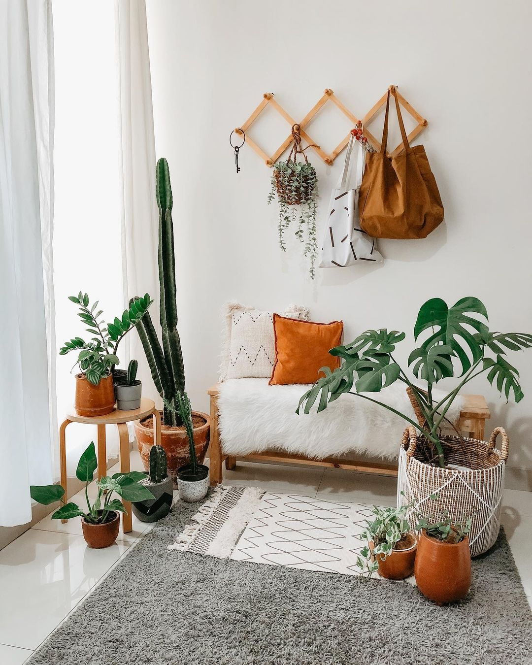 8 Beautiful Decorative Plants for The Home ~ HelloShabby.com : interior ...