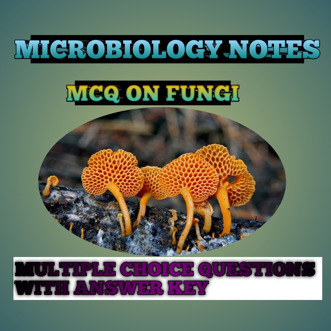 MCQ'S WITH ANSWER KEY ON FUNGI | MICROBIOLOGY | S.Y B. PHARM (SEMESTER III)