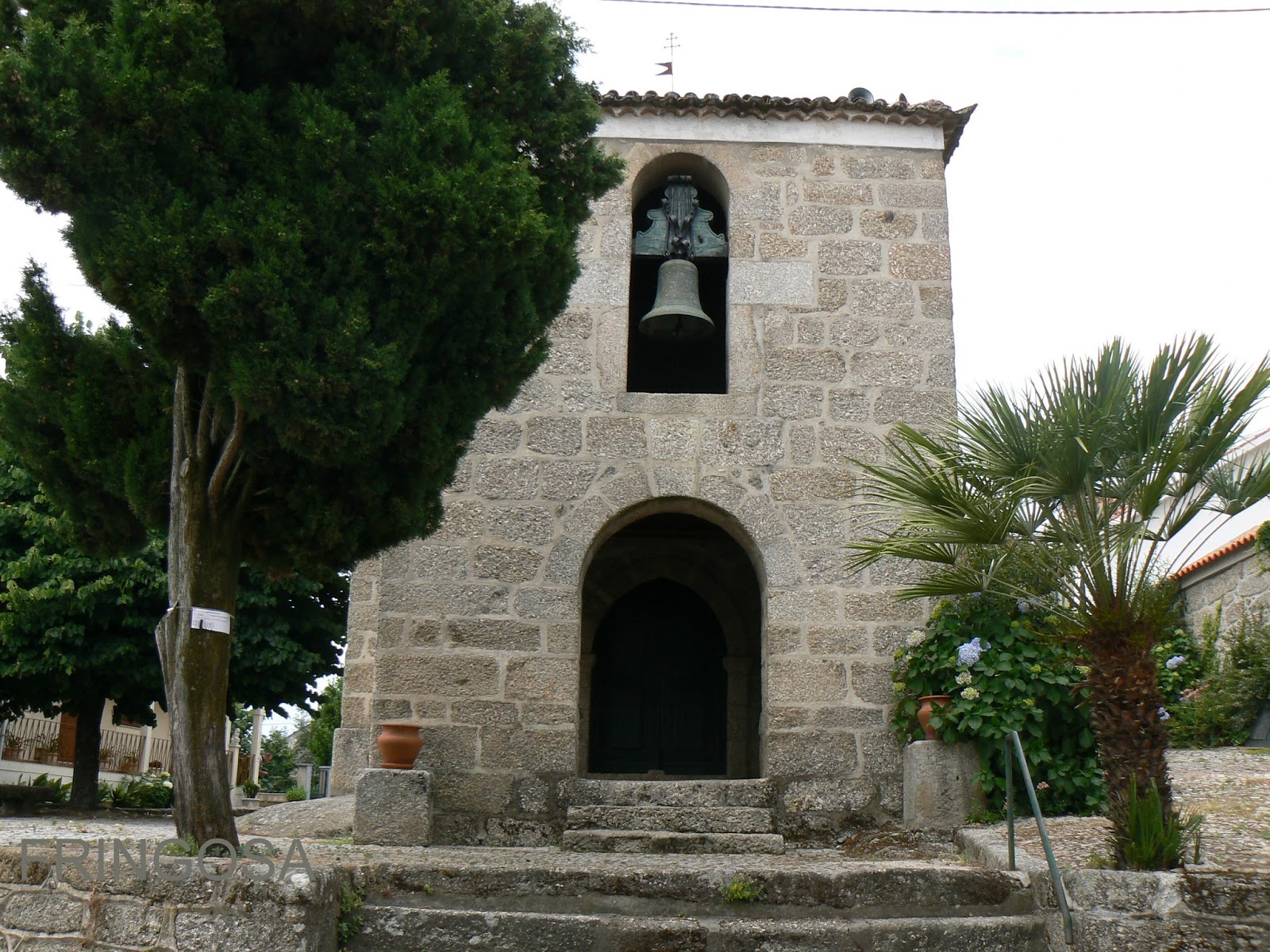 ARQUIVO FRINGOSA: Travanca: Travanca de São Tomé