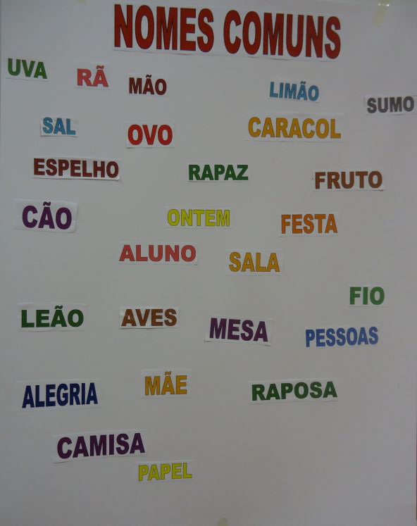 Carinhas Larocas: SUBCLASSES DO NOME - comuns, próprios e comuns coletivos