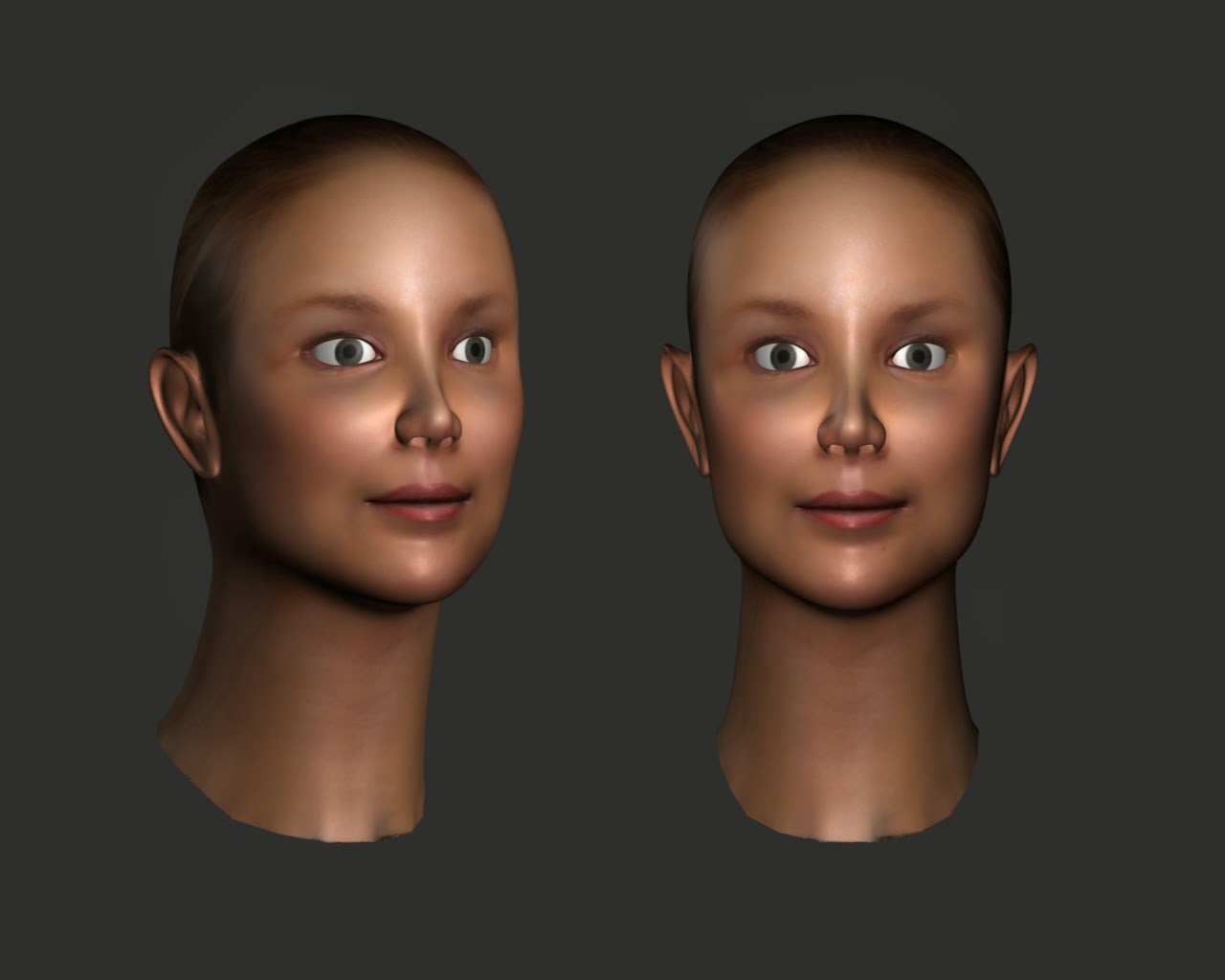 2D & 3D Artist: 3D Works