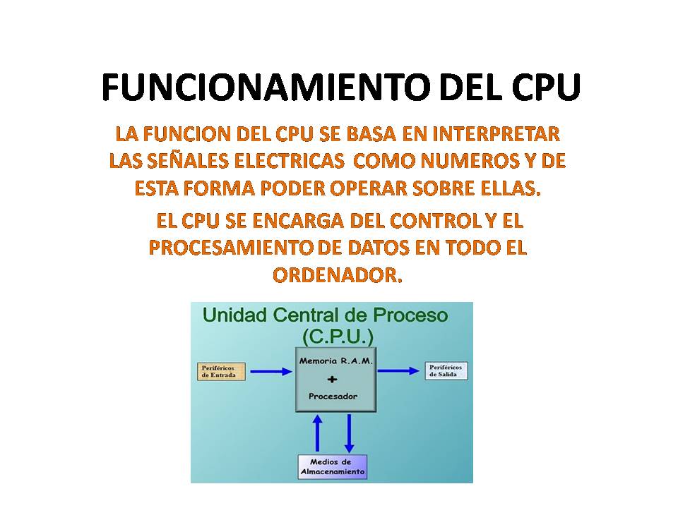 Tecnologia enfasis en informatica 2: FUNCIÓN DEL CPU