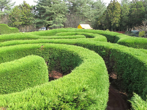 Gimnyeong Maze Park | Korea Guide