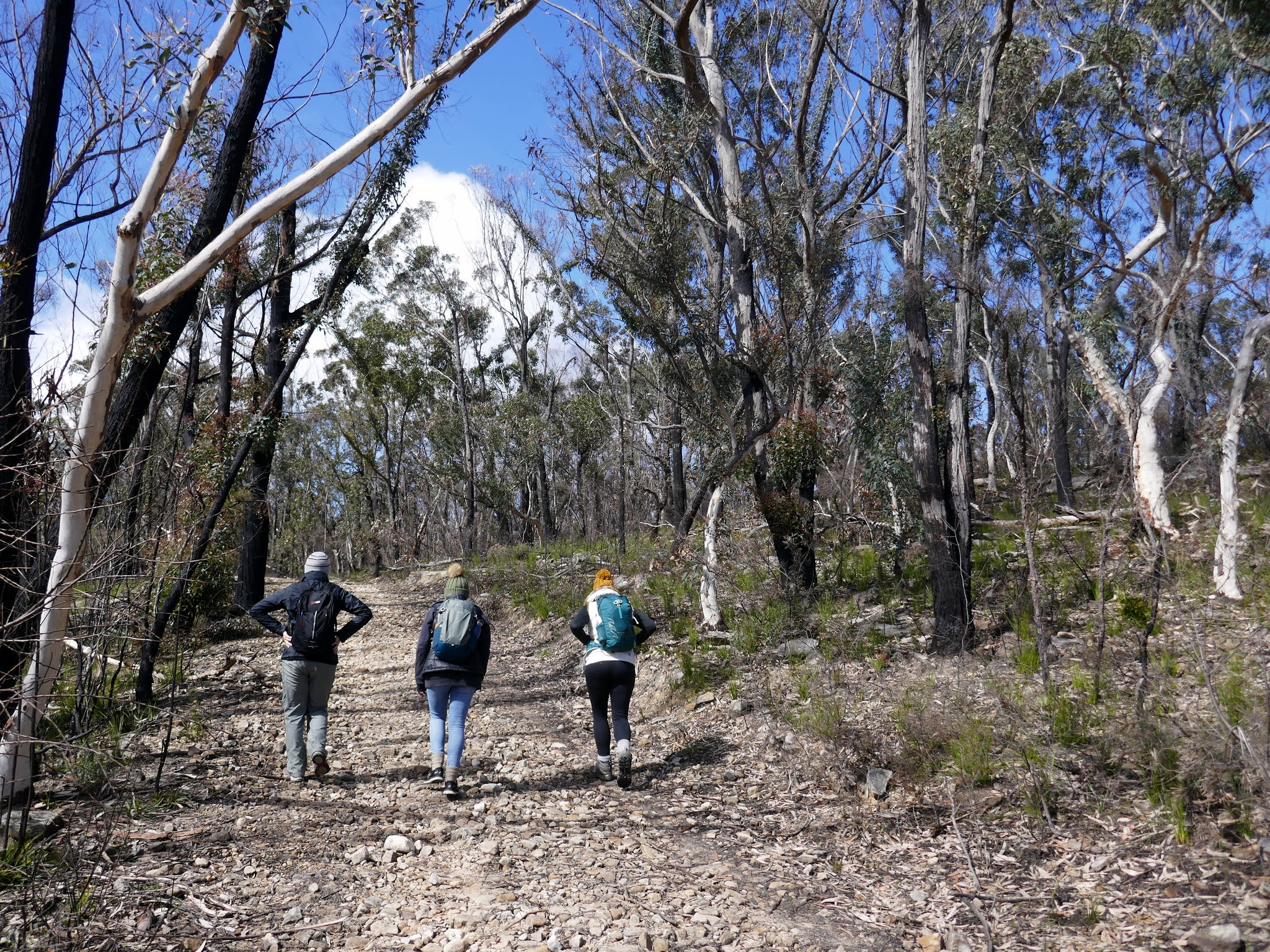 All The Gear But No Idea: Erith Falls & Echo Point - Morton national Park