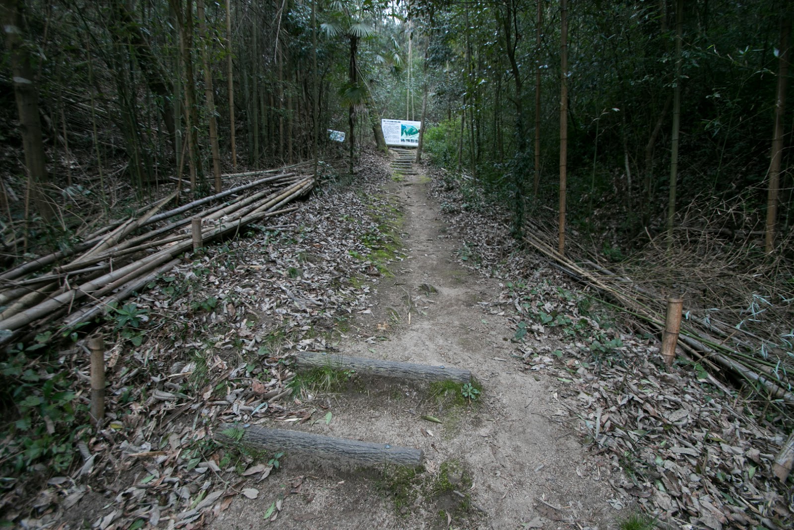 Niitakayama Castle -Intellectual pillar of Mouri clan (2)- | Japan ...