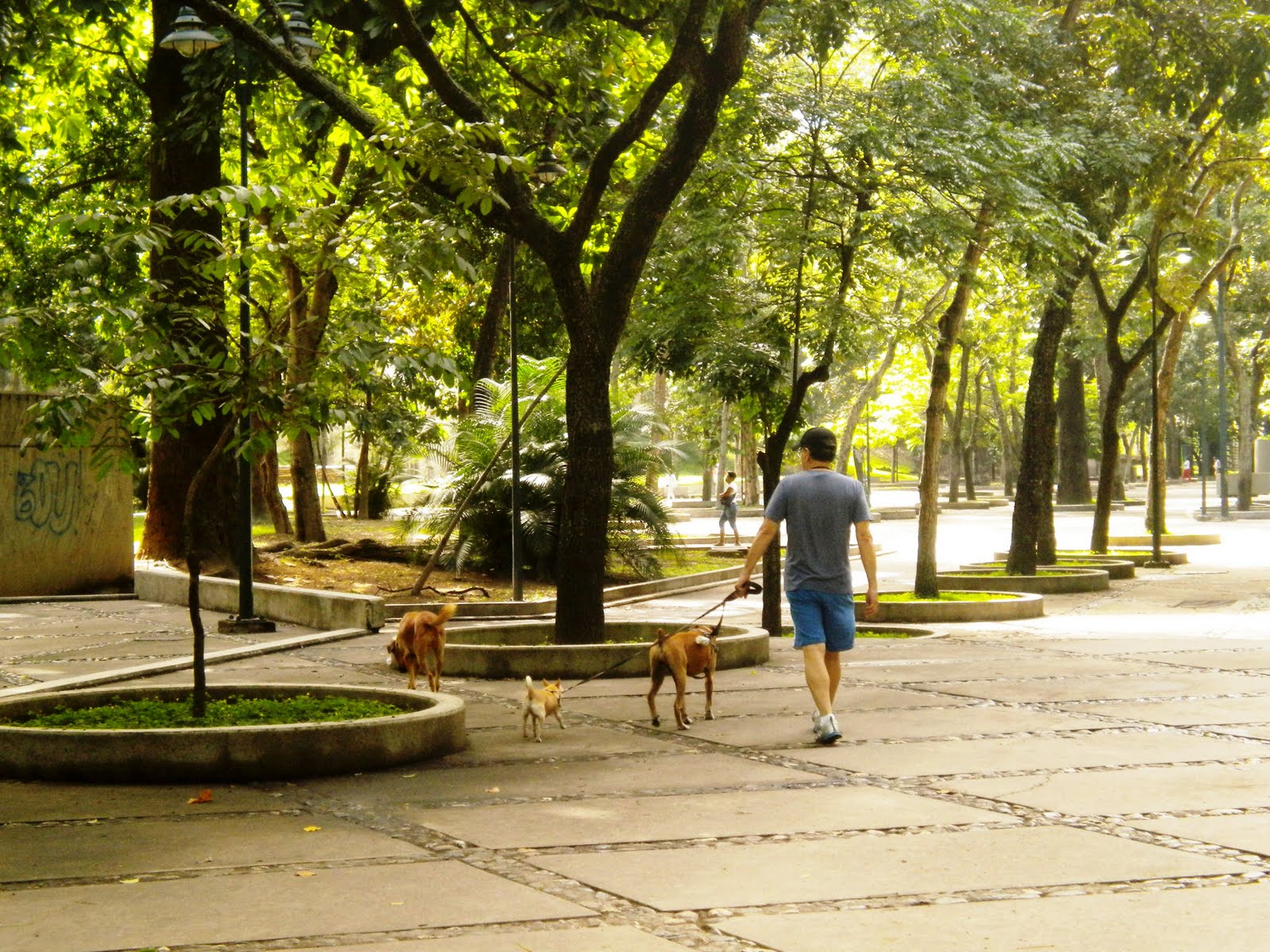 Parque Los Caobos: Un parque ideal para pasear y disfrutar