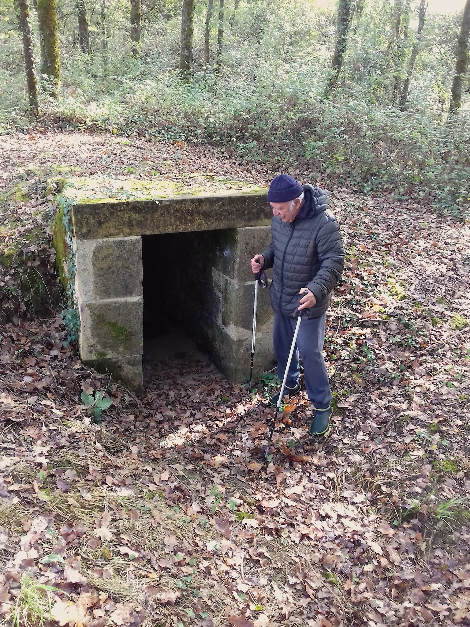 alain piot di massimo