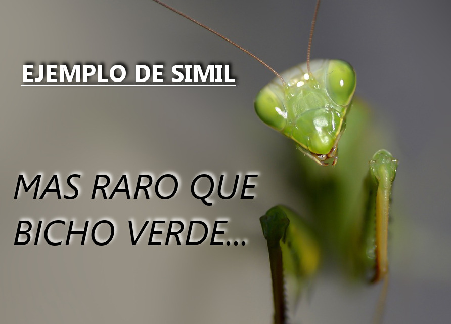 Ejemplos para aprender: Ejemplos de simil
