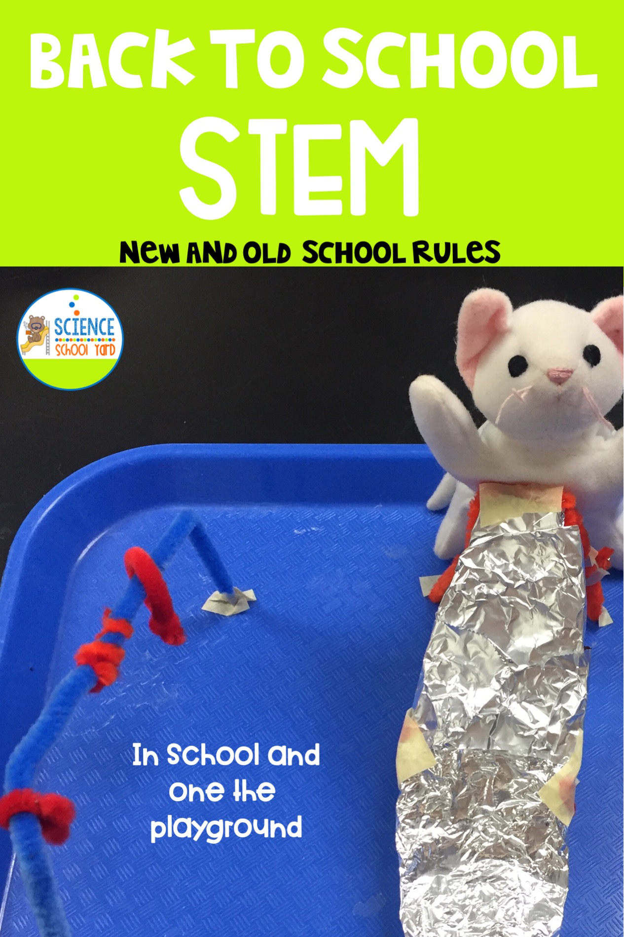 Back To School Activities For Your Science and STEM Class...In or Out ...