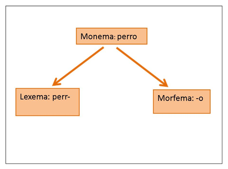 Syntaxlog: Las palabras: estructura y clasificación