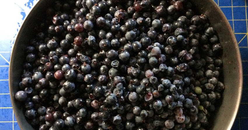 My Country Apron: It Is That Time For Rodger Red Grapes Again