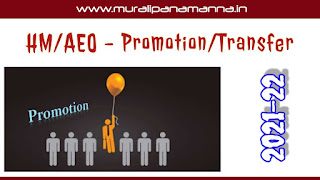 HM/AEO Promotion Order