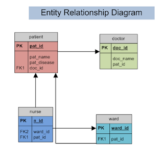Software Engineering: Entity Relationship Diagram