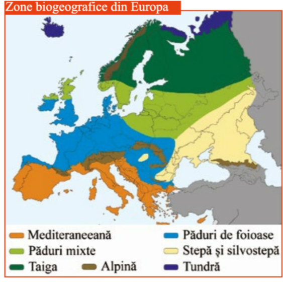 lectii de geografie: Vegetația, fauna și solurile Europei