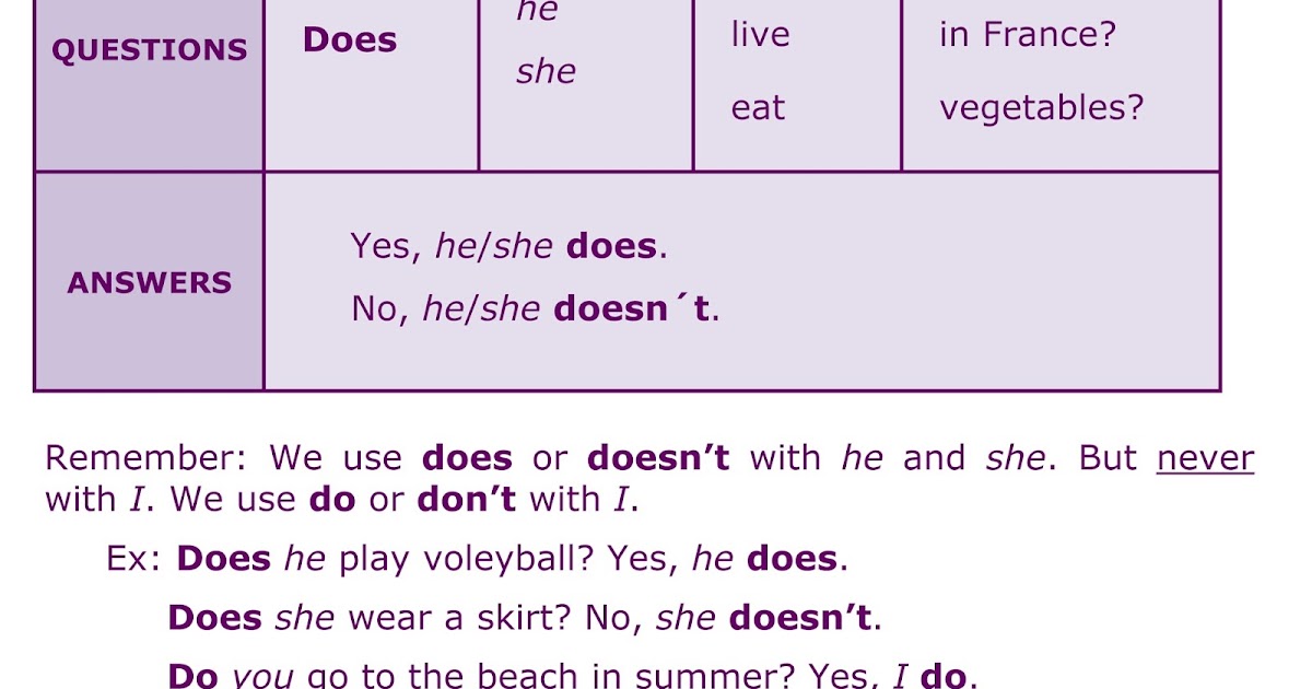 MY TEACHER'S BLOG: DOES HE / SHE...