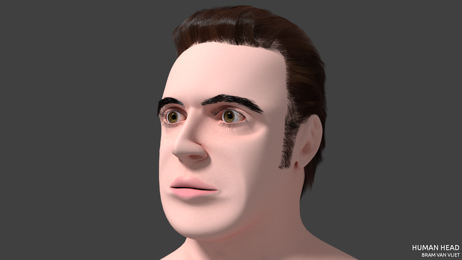 3D Human Male Head
