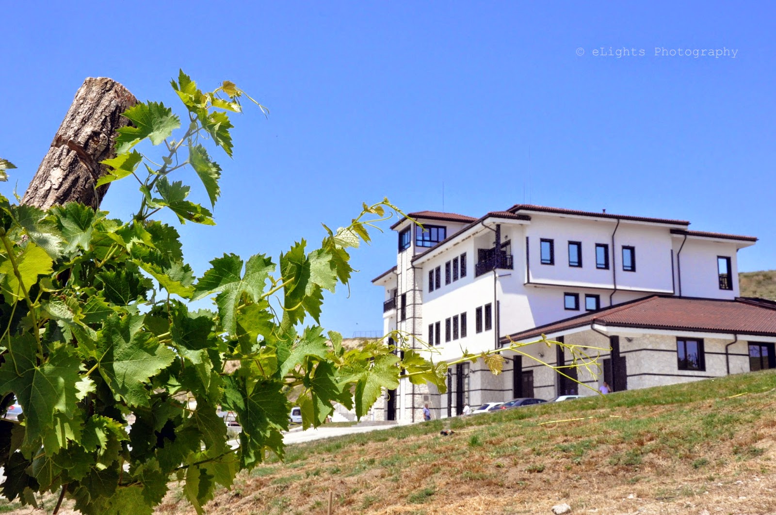 Винен тур по долината на Струма | Wine trip along the valley of Struma ...