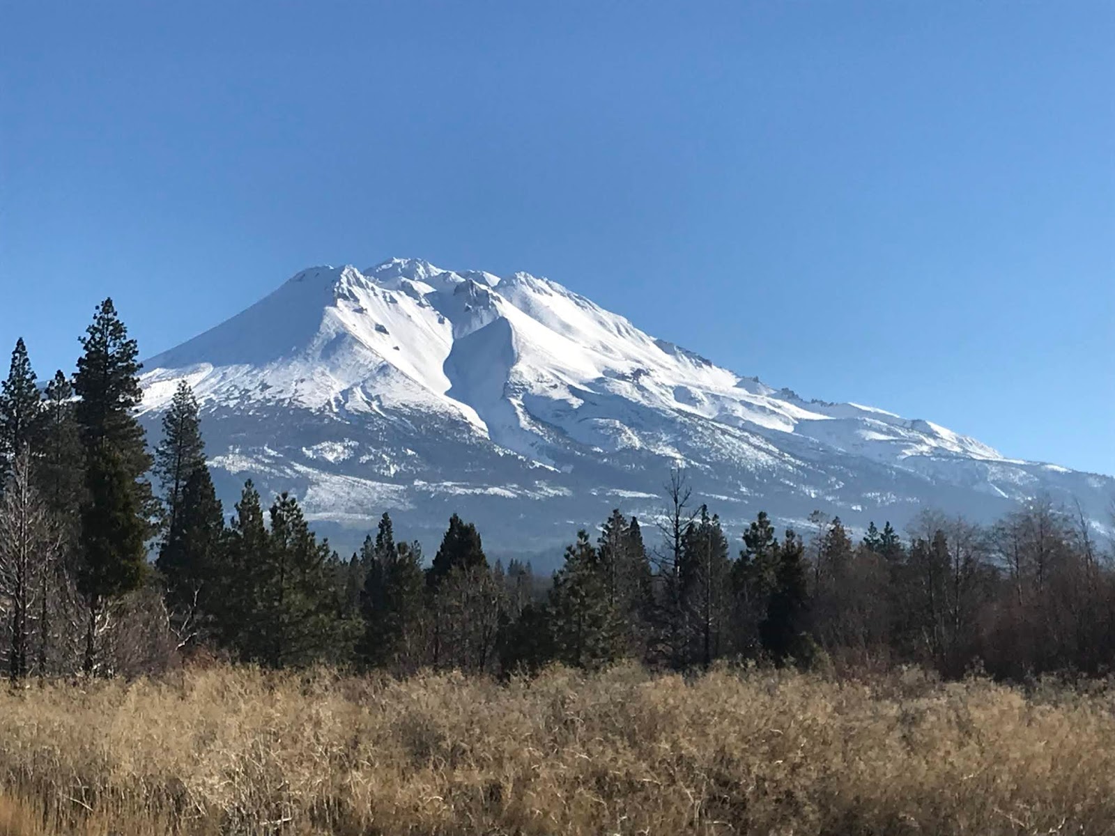 Humble Quilts: CA Fires- How you helped
