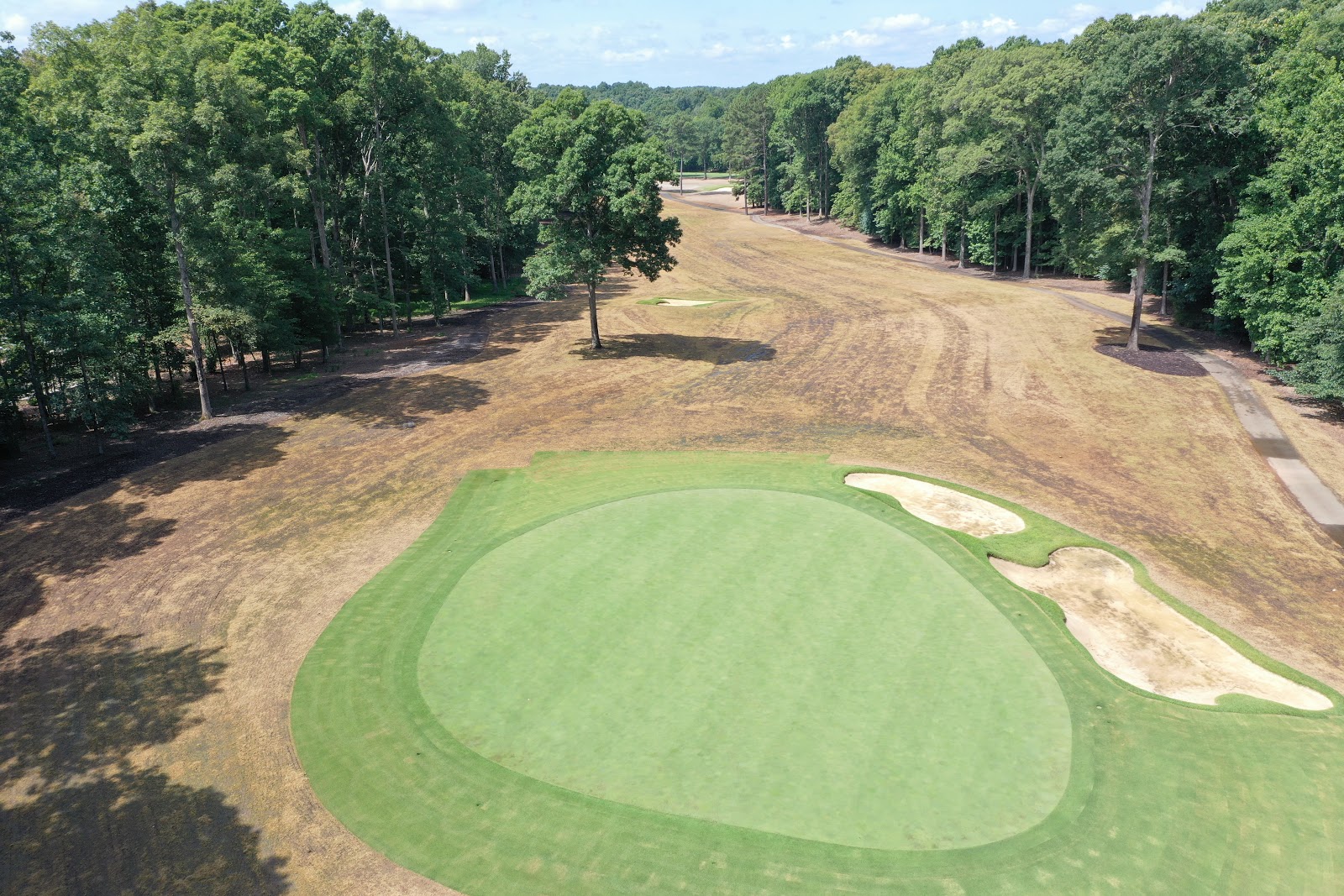 Sprigging is moving along