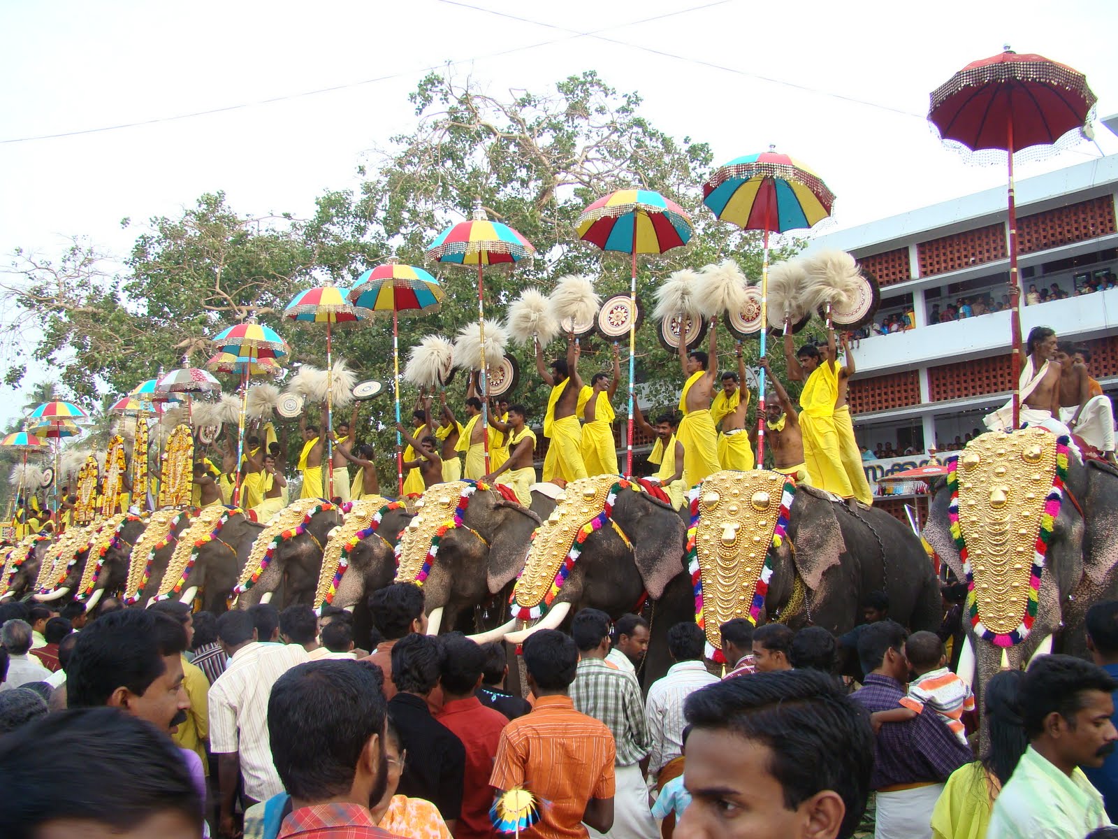Cherai Calling........