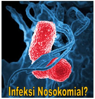 Infeksi Nosokomial: Pengertian, Jenis, Faktor Risiko, dan Rantai ...