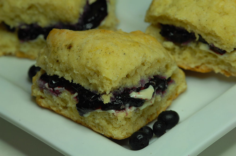 The 3 Foragers: Foraging for Wild, Natural, Organic Food: Wild ...