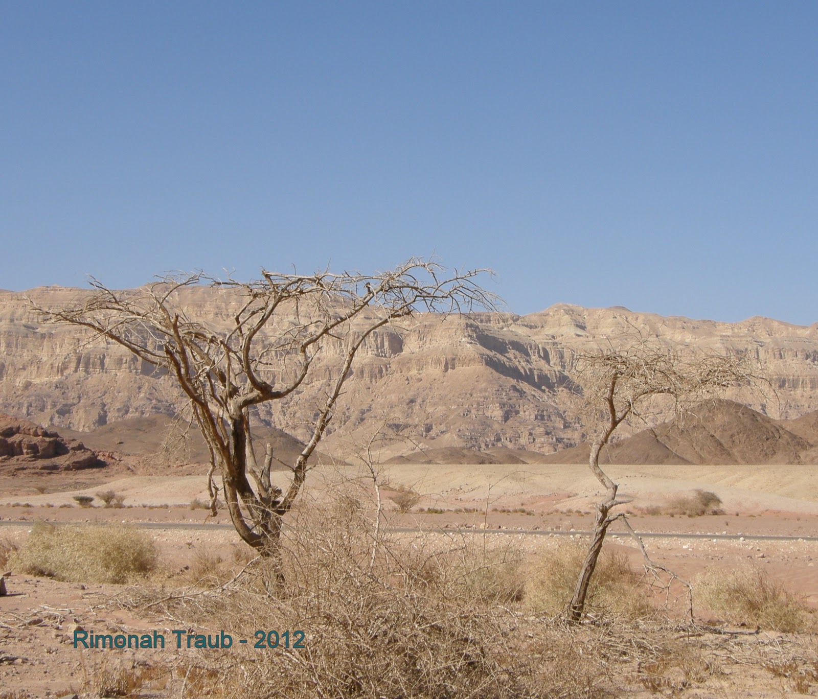 LENS ON A FERTILE LAND, ISRAEL - photography: Timna Park - פארק תמנע ...