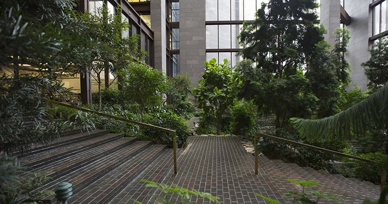 Ford Foundation's New Atrium Garden