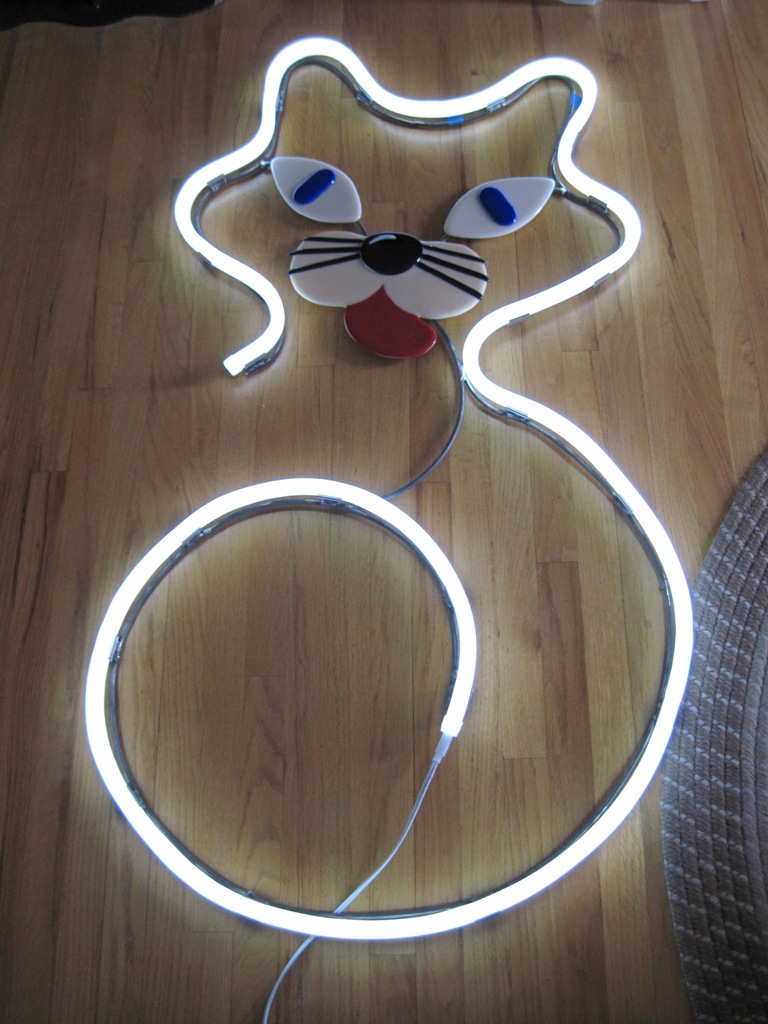 Zann Jones: Neon Cat