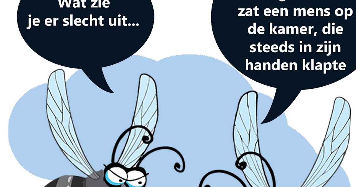 Plaatjes & Informatie: Twee muggen