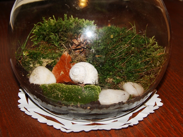 Letitia svetu: Malá machová krajinka