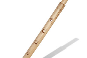 Sipsi nedir ne demektir? Kısaca anlamı - Laf Sözlük