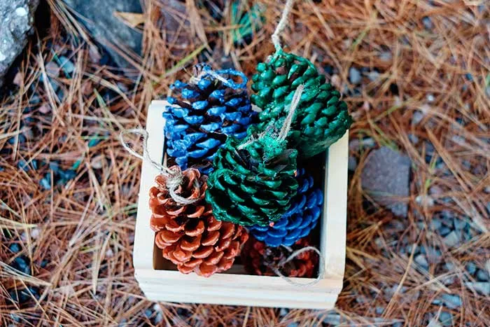 How to Make DIY Pine Cone Fire Starters - Everything Pretty