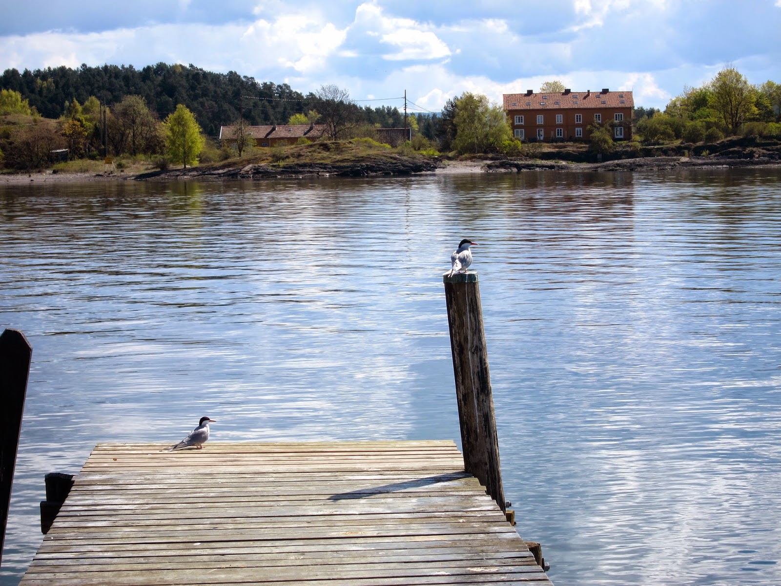 Nordic Notes: The islands of Lindøya and Gressholmen in Oslofjord