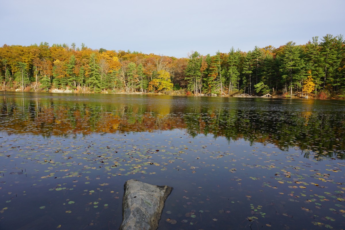 Harriman Hiker: Harriman State Park and Beyond: Hogencamp Mountain and ...